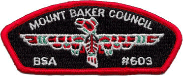 Direct Service Private Issues