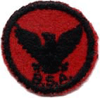patrolPatch: Flying Eagle patrol medallions